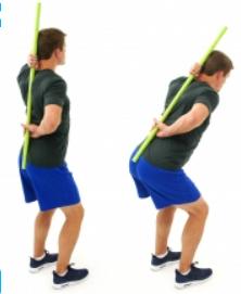 Treating Low Back Pain: Unexpected muscles to strengthen - Wirthy PT